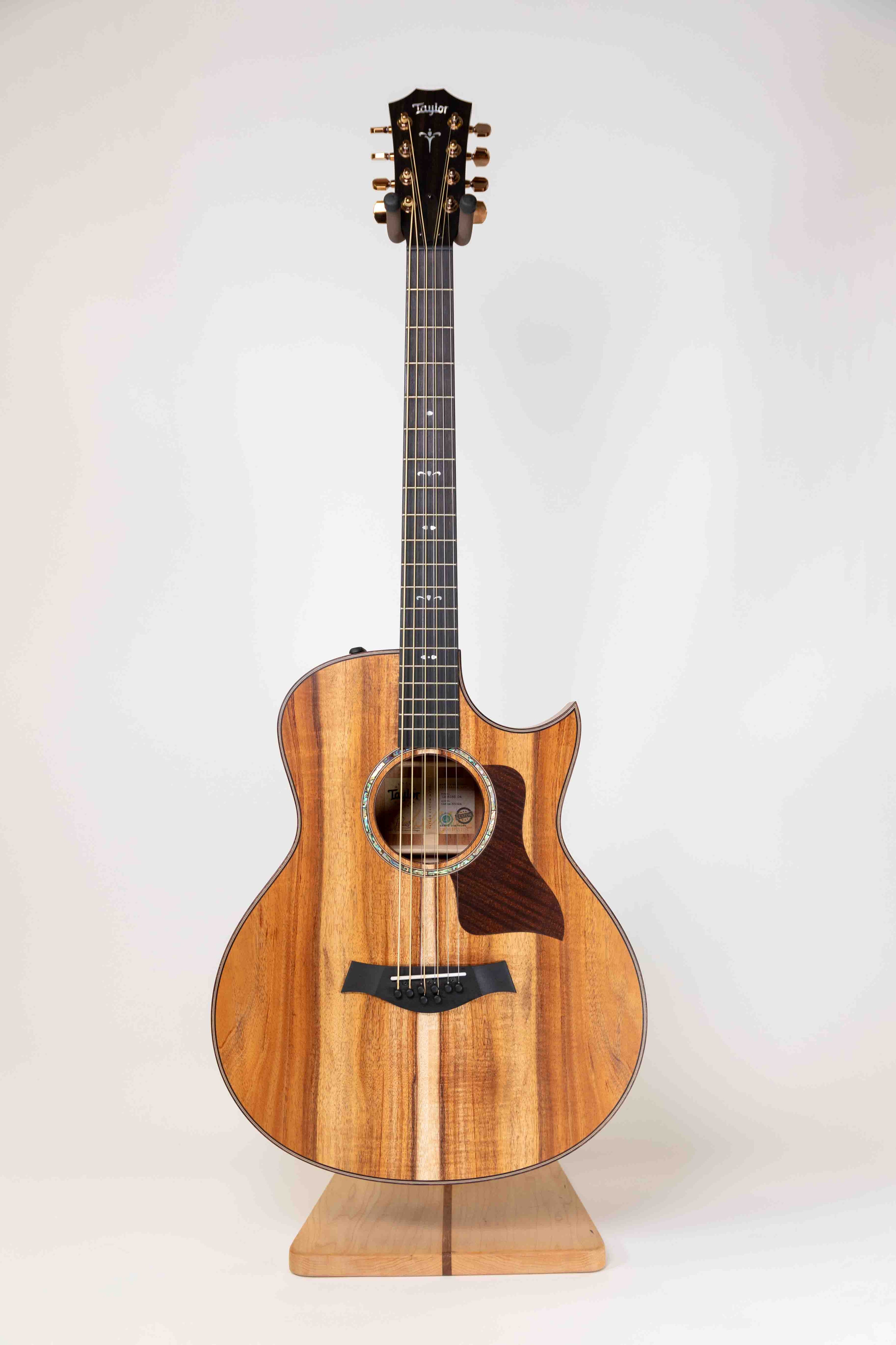 Taylor Guitars Collection | Petr's Violin & Guitar Shop – Petrs Violin ...